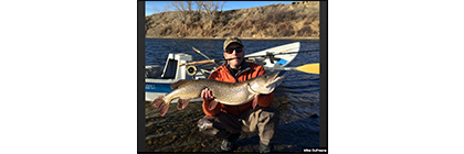 Angler Lands 16-lb. Northern Pike on the Bighorn