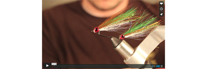 Video: Repeat Minnow