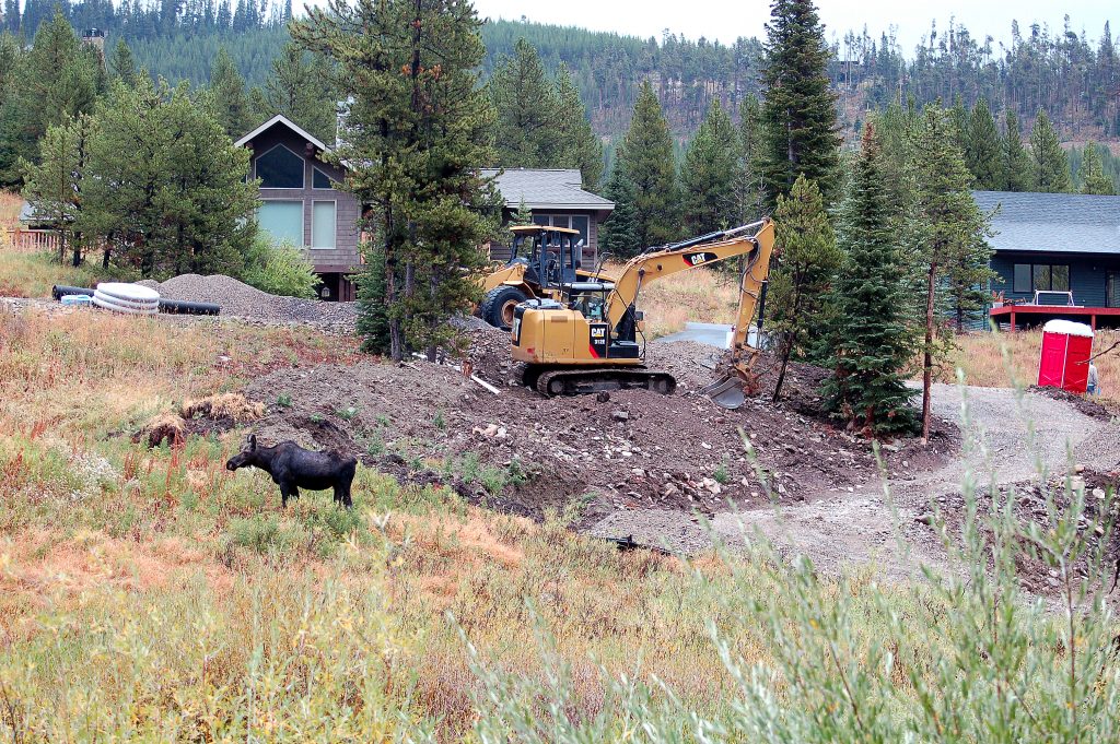 Big Sewer Country 2020